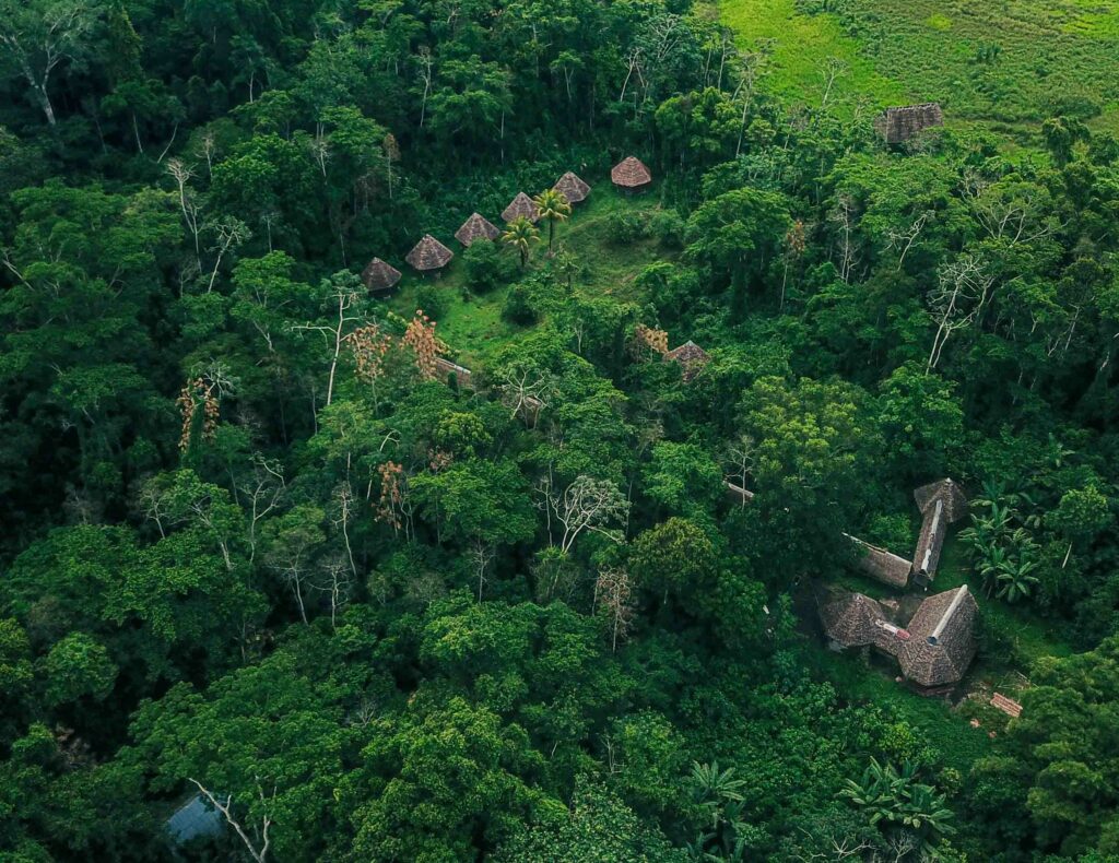 Comunidad nativa Diamante del pueblo Yine - ECA Amarakaeri